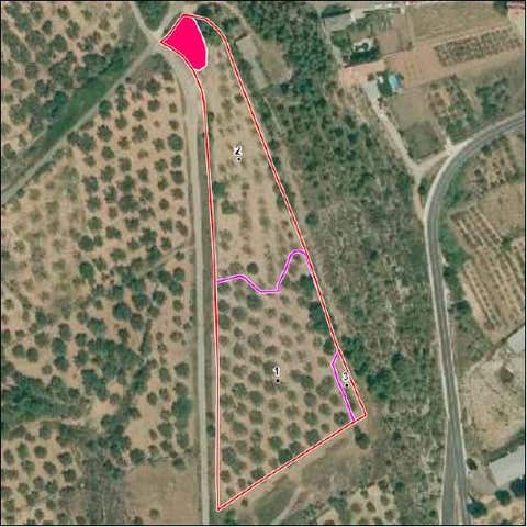 Milanuncios - VENTA PARCELA RÚSTICA AGRÍCOLA