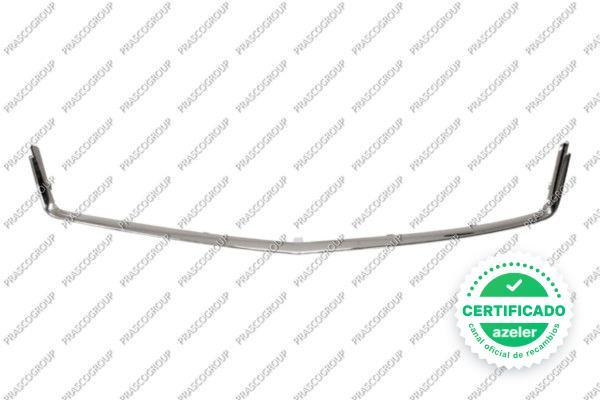 Milanuncios - moldura rejilla inferior cromada