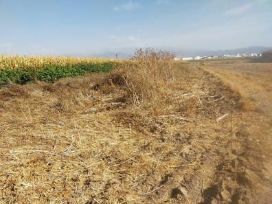 Fincas rústicas en venta. Comprar y vender fincas | Milanuncios