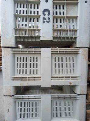 Palot fruta | Milanuncios