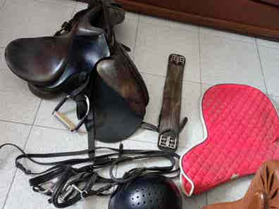 Zaldi Monturas de caballode segunda mano y baratas . Compra venta al ...