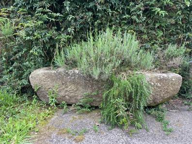 Milanuncios - Pía antigua siglo XIX