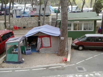 Inesca viena | Milanuncios