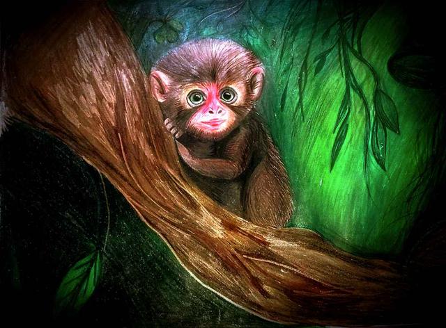 Milanuncios - DIBUJO REALISTA DE SIMIO