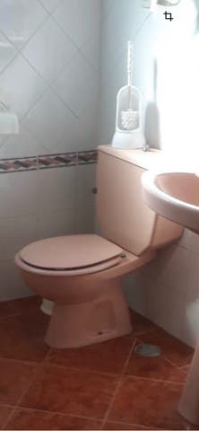 Milanuncios - Inodoro Roca rosa.
