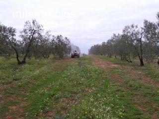 Fincas rústicas en venta en Sevilla Provincia. Comprar y vender fincas ...