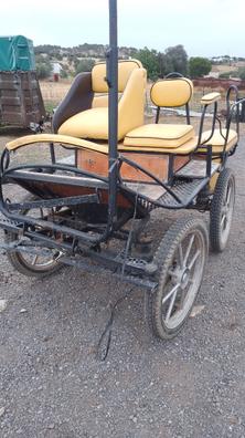 Mulas en venta | Milanuncios