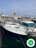 Milanuncios - JEANNEAU CAP CAMARAT 8.5 WA
