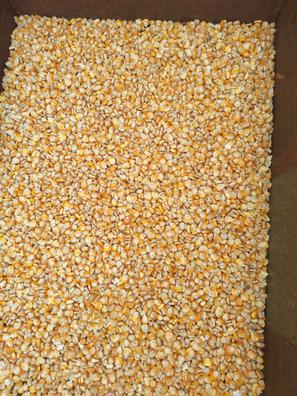 Millo en venta en Pontevedra Provincia | Milanuncios