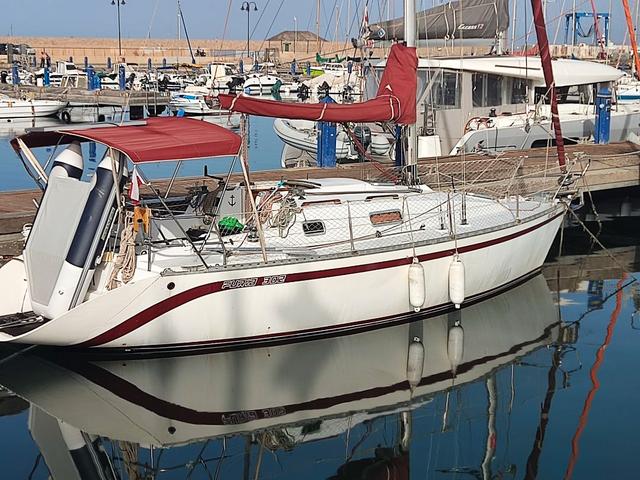 Milanuncios - Furia 302 Oferta fin de Verano