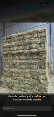 Milanuncios - Heno de pradera y de festuca