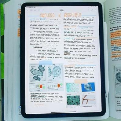 Milanuncios - Apuntes Biología 2 Bachillerato PAU