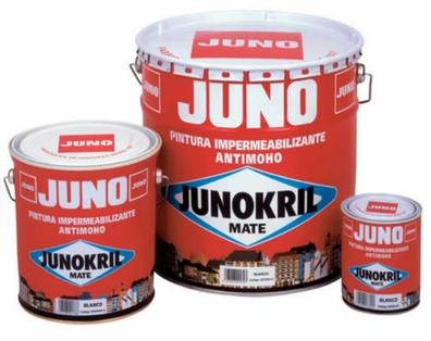 Pintura juno | Milanuncios