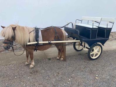 Carro pony Carruajesse segunda mano . Compra venta de coches de ...