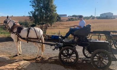 Milanuncios - Maratones en el Rocío