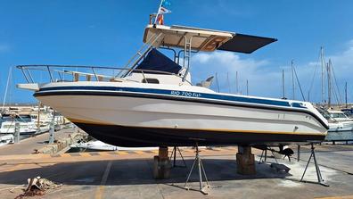 Rio 600 fish de segunda mano | Milanuncios