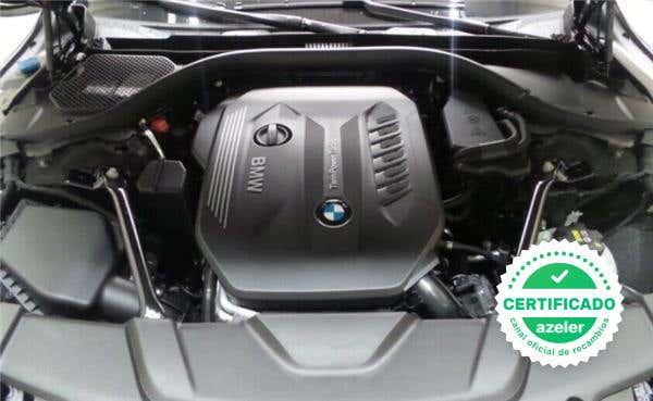 Milanuncios - ID.09153155 motor bmw m57d30(306d5) 286