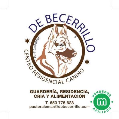 Milanuncios - Residencia Canina