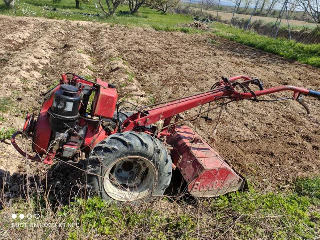 Milanuncios - Motocultor lombardini diesel