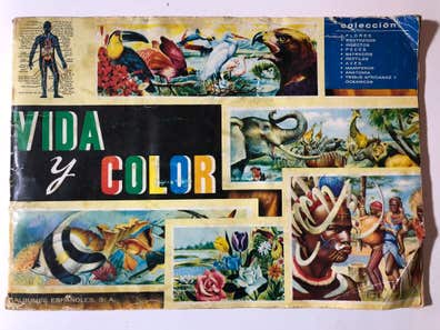Vida y color Cromos de colección y segunda mano | Milanuncios