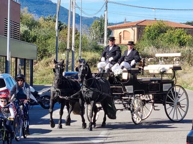 Carroza fiestas Organizadores de fiestas barato y con ofertas | Milanuncios
