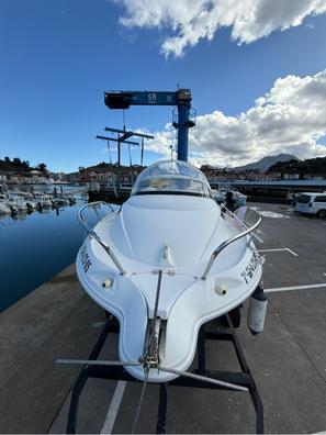 Milanuncios - QuickSilver 510 cruiser