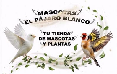 Tienda animales Ofertas de empleo. Buscar y encontrar trabajo | Milanuncios
