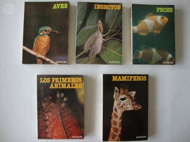 Milanuncios - Aves insectos aracnidos peces mamiferos