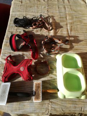 Milanuncios - ACCES.MASCOT.CARDA.ARNES.CORREA.COMED