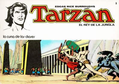 Milanuncios - CUBIERTAS -TARZAN- (NOVARO, 1976)