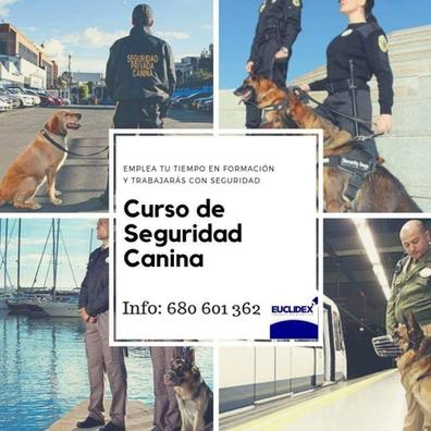 Curso vigilante seguridad radioscopia | Milanuncios