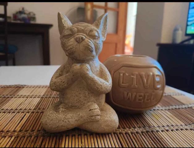 Milanuncios - ¿Tu perro tiene ansiedad?