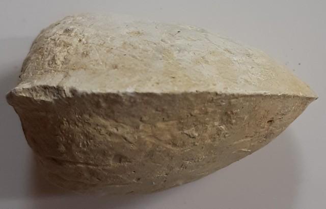 Milanuncios - FÓsil bivalvo. concha 43x25x38 mm Nº2