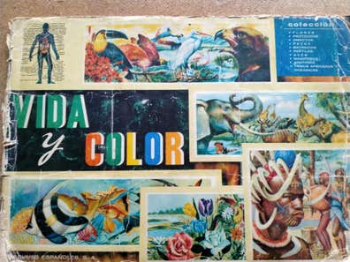 Vida y color Cromos de colección y segunda mano | Milanuncios