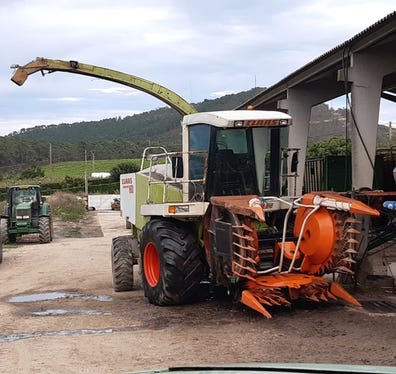 Cosechadora maiz claas | Milanuncios
