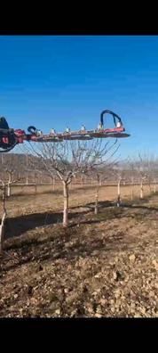 Milanuncios - Discos Industrias David poda en altura