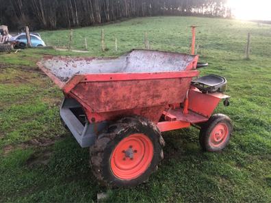 Chimpin ausa | Milanuncios