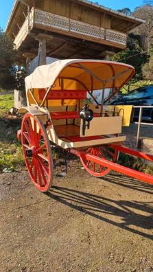 Caballosen venta . Comprar y vender caballos a buen precio | Milanuncios