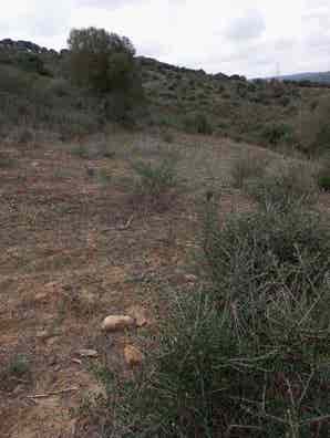 Fanega tierra | Milanuncios