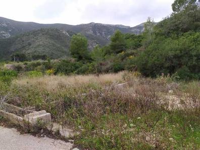 Parcela de camping en valencia. Anuncios para comprar y vender de ...