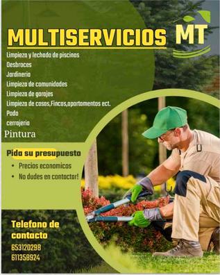 Milanuncios - Multiservicios MT