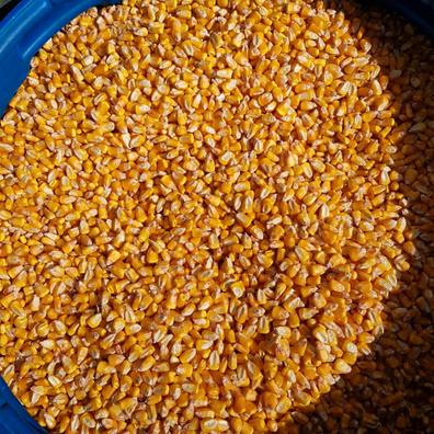 Milanuncios - Millo en grano sin herbicidas, maiz en g