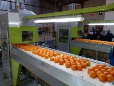 Ofertas de empleo de control de calidad en Alberic. Trabajo de ...