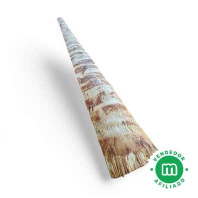 Costeros de segunda mano | Milanuncios