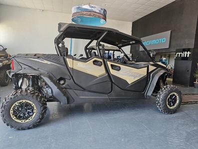 Buggies de segunda mano y ocasión | Milanuncios