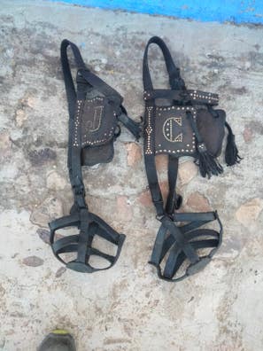 Mulas en venta en Villarta de San Juan | Milanuncios