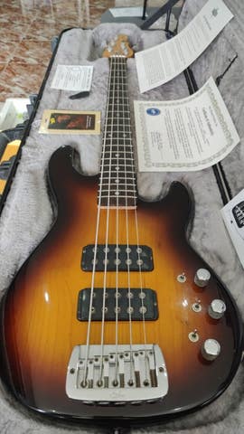 Milanuncios - gyl l 2500 usa