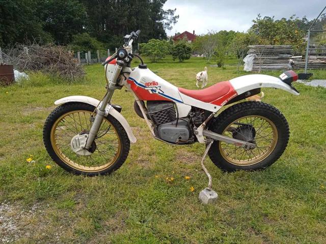 Milanuncios - Aprilia - trial 88