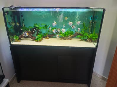 Milanuncios - se vende acuario completo de 360 litros