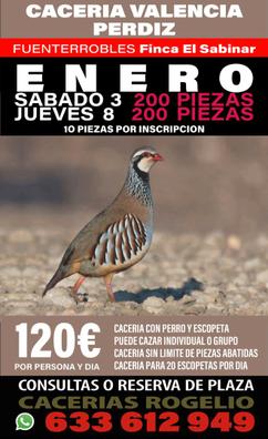 Cotos de caza en Quart de les Valls | Milanuncios